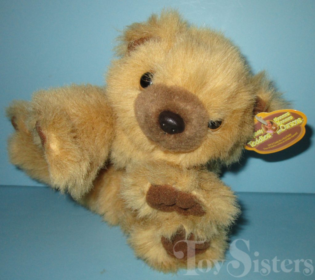 Teddy Teddy Teddies - Toy Sisters