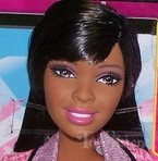 2010/2011 I Can Be TV News Anchor Barbie AA - Toy Sisters