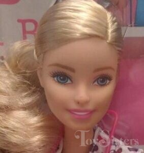 2014/2015 Career Barbie Nurse – Toy Sisters
