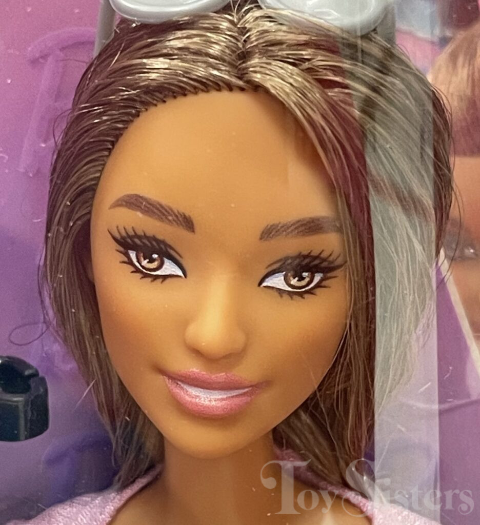 2024 Barbie Fashionistas American Foundation for the Blind Doll #228 ...